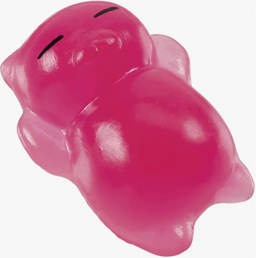 Squishy Kiji Buddy & Slime Kit – Bray and Em Boutique